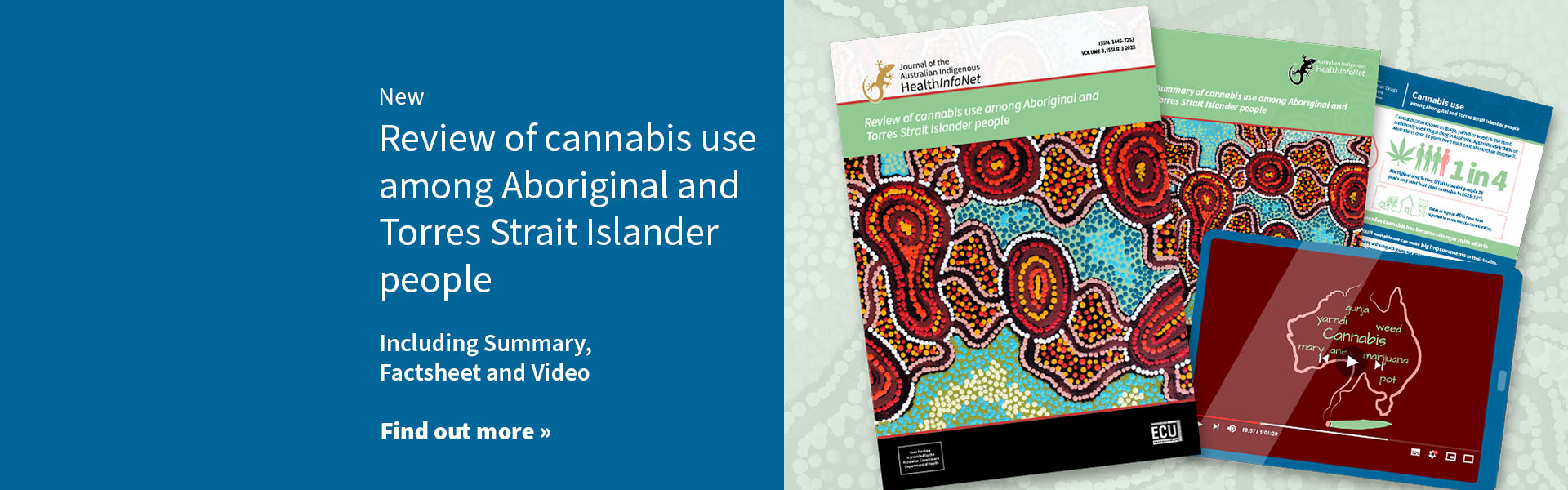 Home Page - Australian Indigenous HealthInfoNet