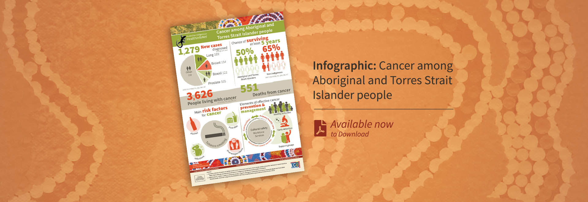 Home Page - Australian Indigenous HealthInfoNet