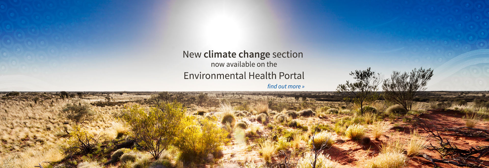 Home Page - Australian Indigenous HealthInfoNet